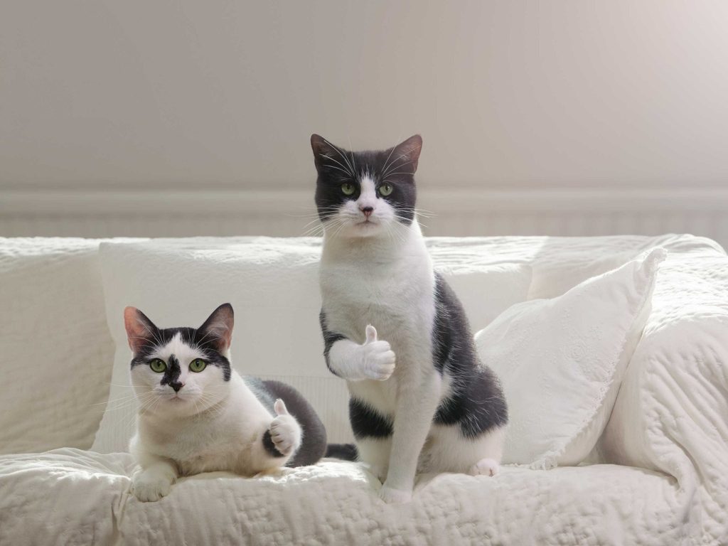 Make A Power Apps Approvals Form - Matthew Devaney