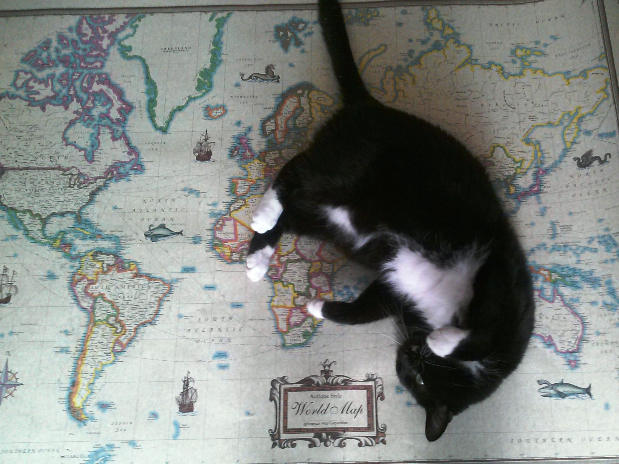 10 Minutes To Learn Power Apps Maps - Matthew Devaney