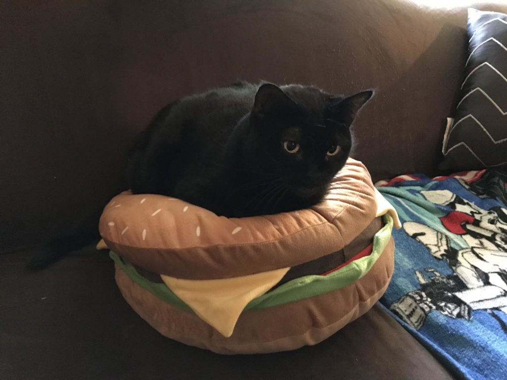 Power Apps Custom Pages, Chicken Burger vs. Chicken Sandwich, Low Code ...