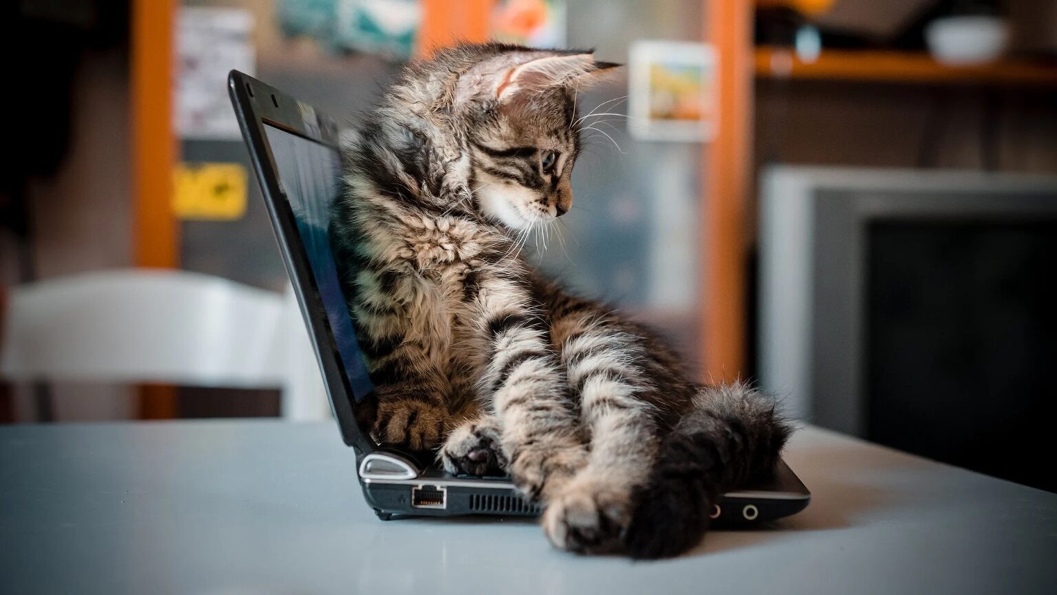 Power Apps User Defined Functions: Write Code Once And Reuse