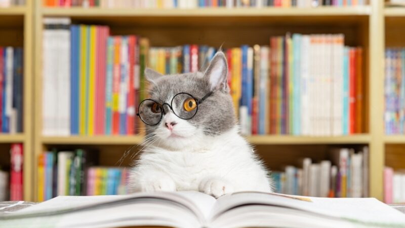 Rename Variables In Power Apps With 1-Click