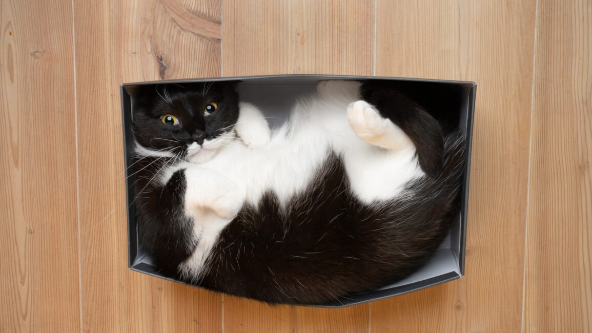 Merge & Split PDF Files With Power Automate Desktop