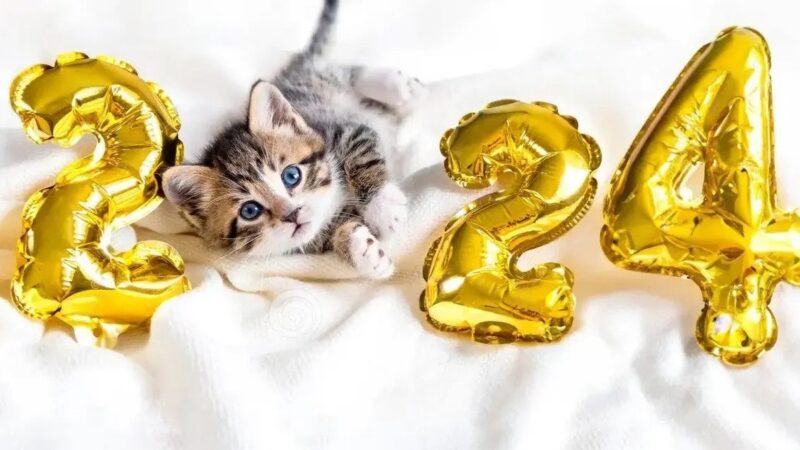 Top 10 Power Apps Tips Of 2020 - Matthew Devaney