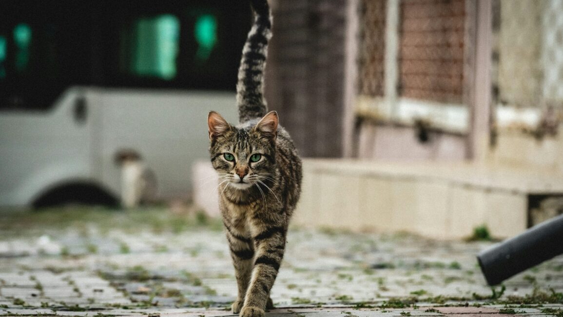 How To Extract Tables From A PDF In Power Automate