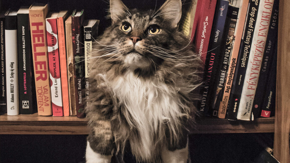 Add A Record To A Table Variable In Copilot Studio