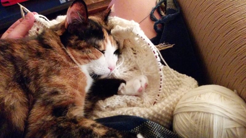 Insane Copilot Studio Sharepoint List Knowledge Workaround